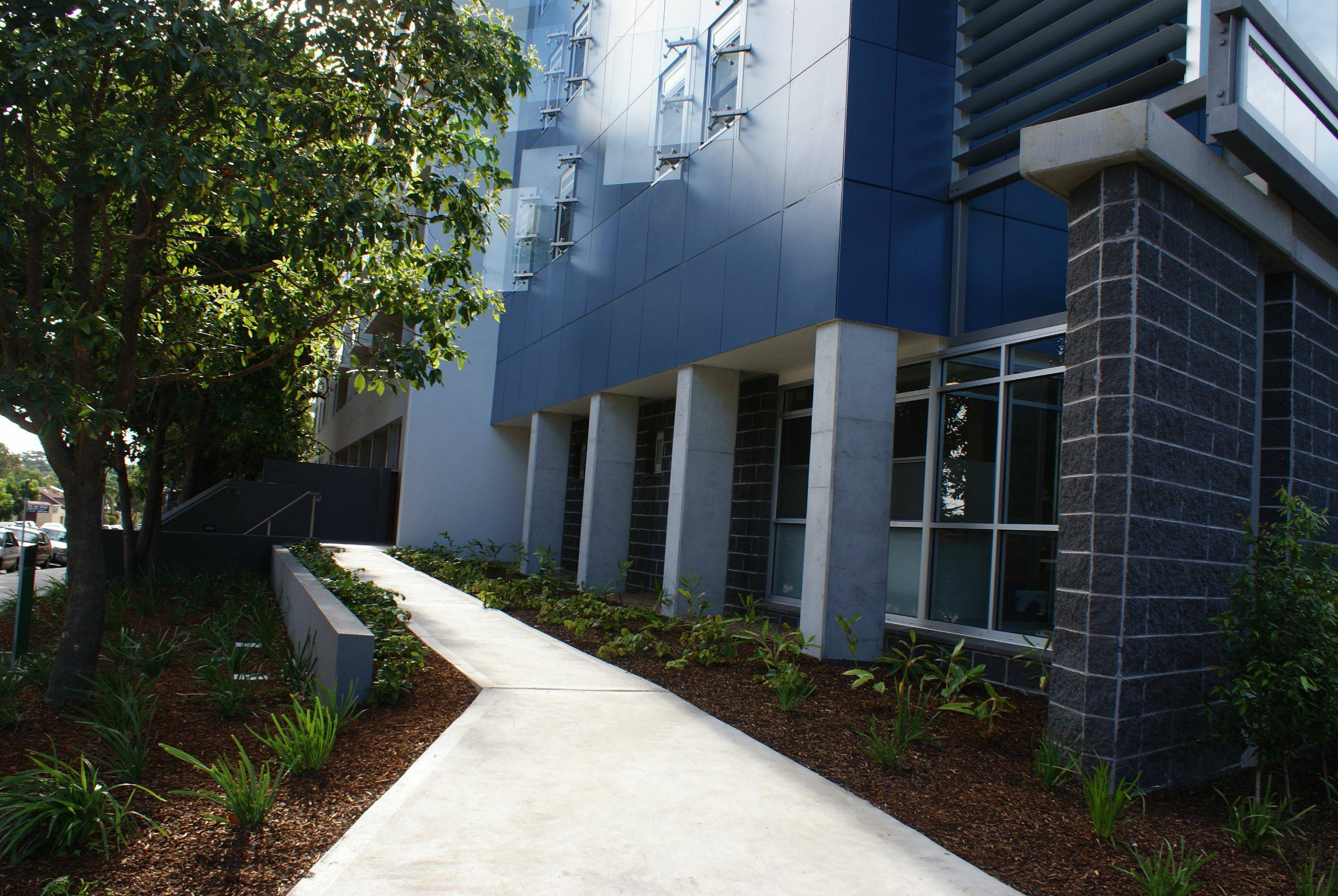 New College Postgraduate Village | Live at UNSW Sydney - New College UNSW
